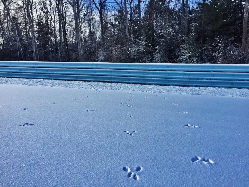 See NASCAR tracks covered in snow | Official Site Of NASCAR