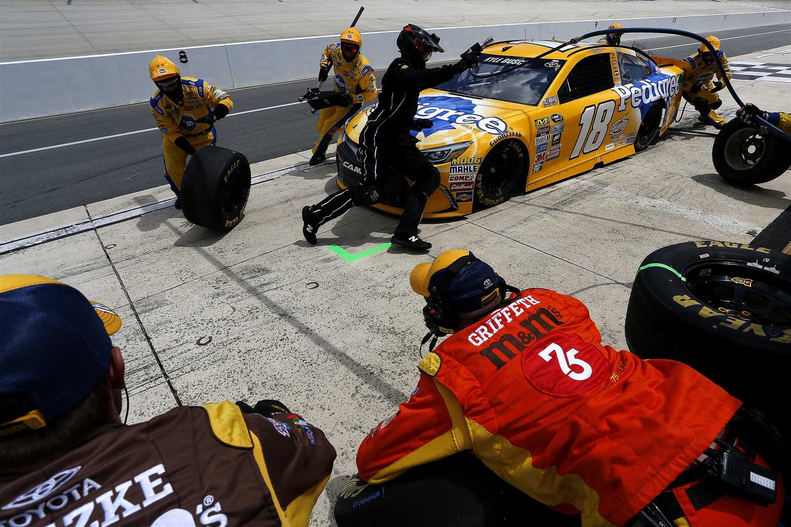 Breakdown: How drivers perform by paint scheme - Official Site Of NASCAR