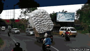 Pocono: A recap in GIFs - Official Site Of NASCAR