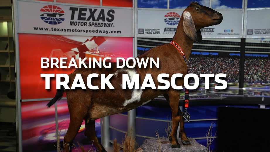 Breaking down NASCAR track mascots - Official Site Of NASCAR